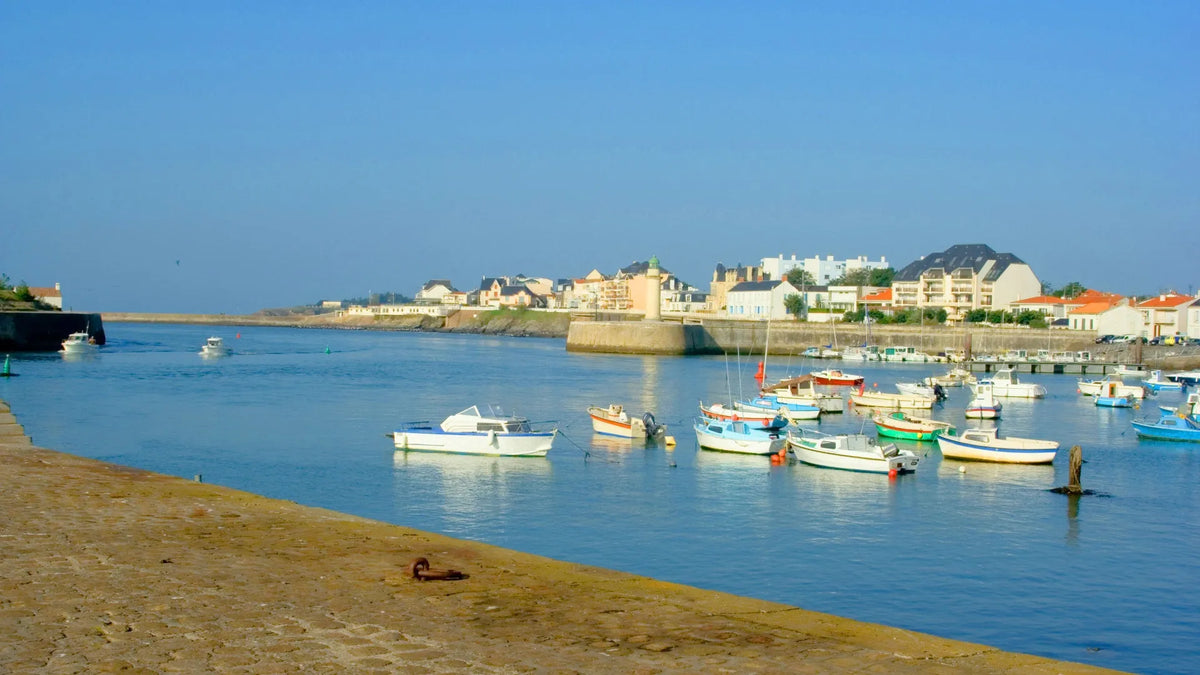 Réparateurs de Zodiac et Bateaux Semi-Rigides Vendée (85) — ORCA Retail ...